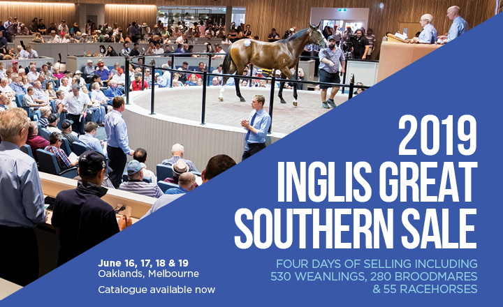 Inglis - Thoroughbred Horses for Sale and Auction. Australia's Leading ...