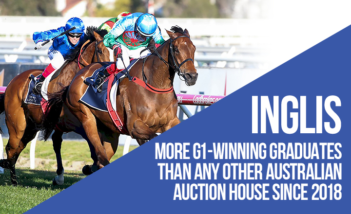 Inglis - Thoroughbred Horses for Sale and Auction. Australia's Leading ...