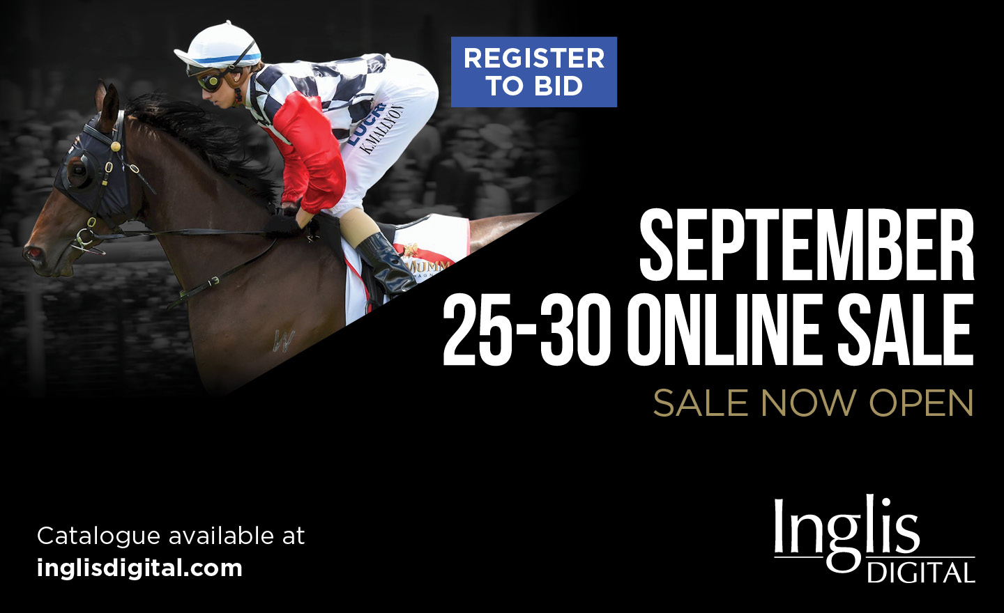 Inglis - Thoroughbred Horses for Sale and Auction. Australia's Leading ...
