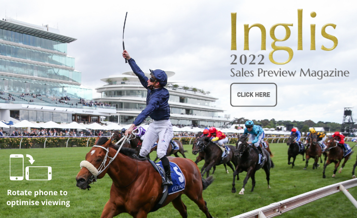 Inglis - Thoroughbred Horses for Sale and Auction. Australia's Leading ...