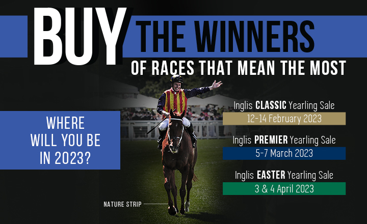 Inglis - Thoroughbred Horses for Sale and Auction. Australia's Leading ...